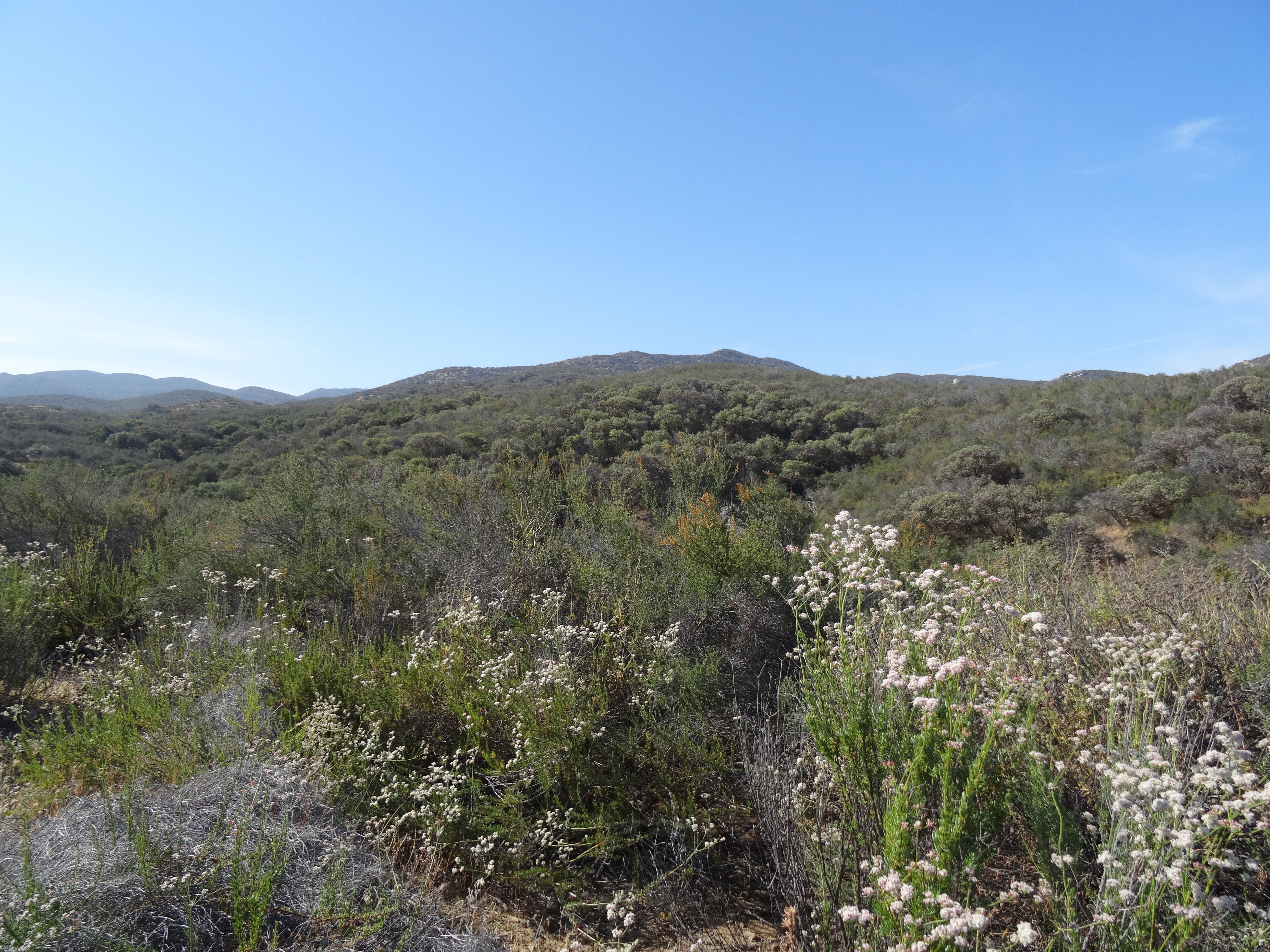 Bautista Canyon